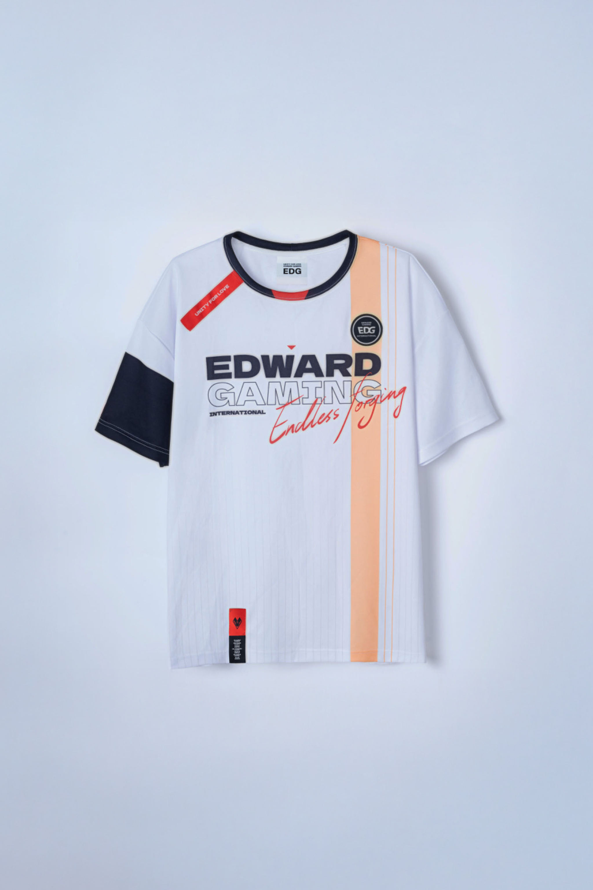 EDG 2024 Championships Kit Pro Jersey / EDG / Uniform｜A.W PRODUCTIONS (AWP)